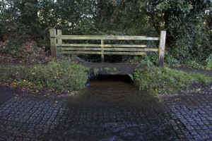 Dark Lane, Budleigh Salterton | Hodomania by Benjamin Simpson